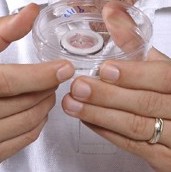 Rat brain flies virtual jet fighter | Electronics Weekly