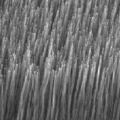 Report recommends nano control | Electronics Weekly