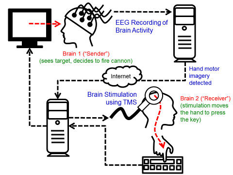 Direct brain to brain communication over the Internet | Electronics Weekly