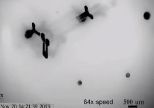 Magnetic materials make micro-robots with grippers | Electronics Weekly