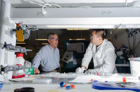 Semiconductors aid artificial photosynthesis | Electronics Weekly