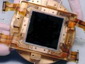 The best image sensors come from... Essex | Electronics Weekly