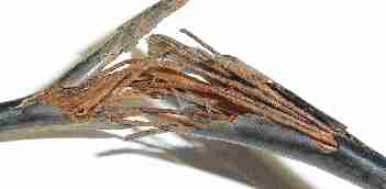 An Engineer in Wonderland - Gears, cable, rust and Mr Bowden ...