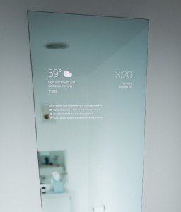 Mirror, mirror, who is smartest of us all?