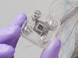 Low-cost fuel cell dines on urine | Electronics Weekly