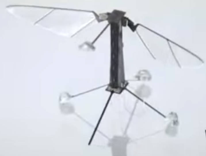 Moth-like robot can perch on the ceiling | Electronics Weekly