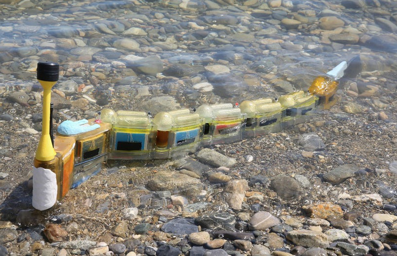 Picture of the Day: The robotic eel, swimming with sensors ...