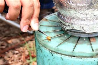 Bee-tracking radar | Electronics Weekly