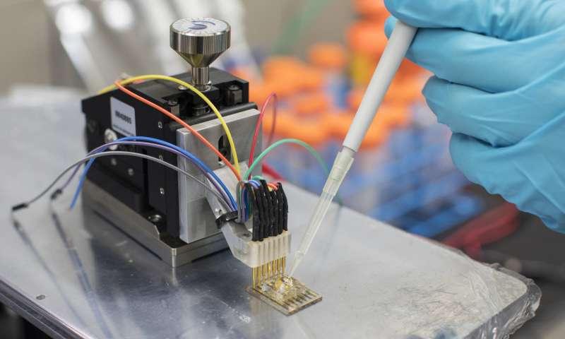 Cambridge researchers develop plastic sensors for disease diagnosis ...