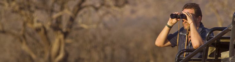 New Seeker release from Synopsys | Electronics Weekly