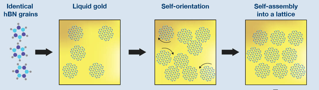 Single-crystal 2d material self-assembles on liquid gold | Electronics ...