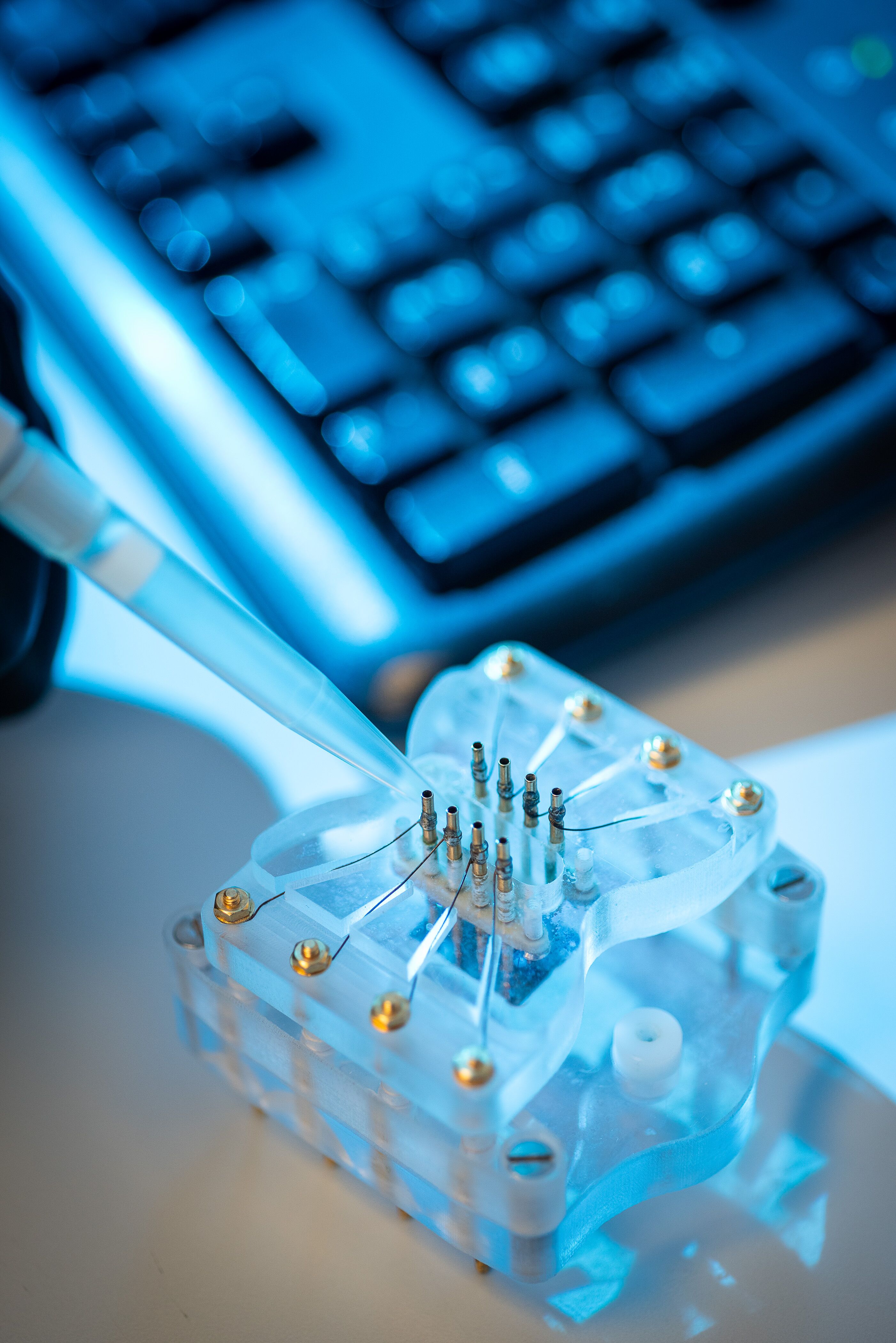Bath Researchers Develop Dengue Early Detection Tool Electronics Weekly