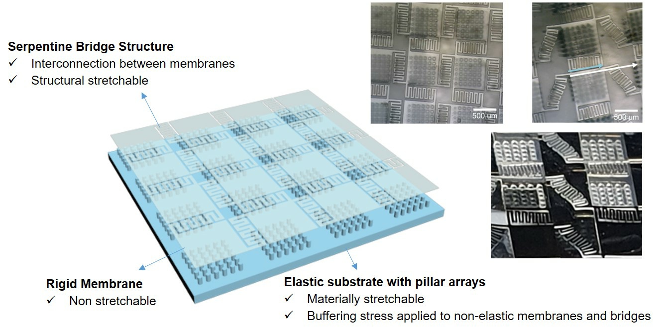 Updated: Stretchable OLED display proof-of-concept from KAIST ...