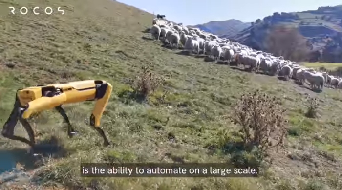 Spot becomes the robotic sheep dog | Electronics Weekly
