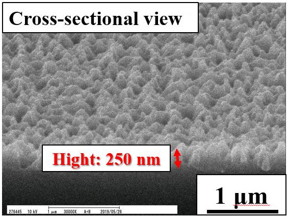 'Moth eye' anti-reflection coating for displays | Electronics Weekly
