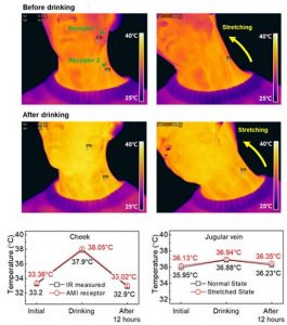 E-skin detects both temperature and force with one sensor | Electronics ...