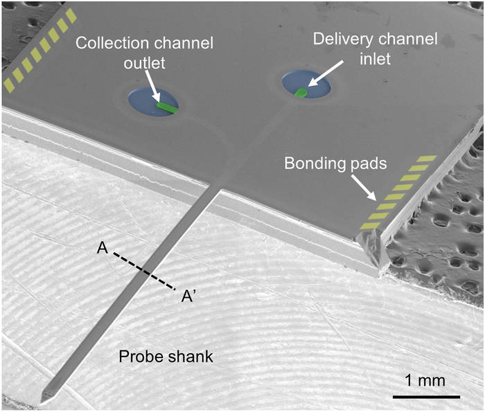 Brain chip combines microfluidics and electrodes | Electronics Weekly