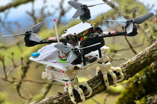 Bird robot perches like the real thing, and catches prey | Electronics ...