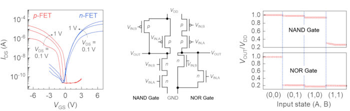 p-type 2D transistors mean atomically-thin CMOS is not far away ...