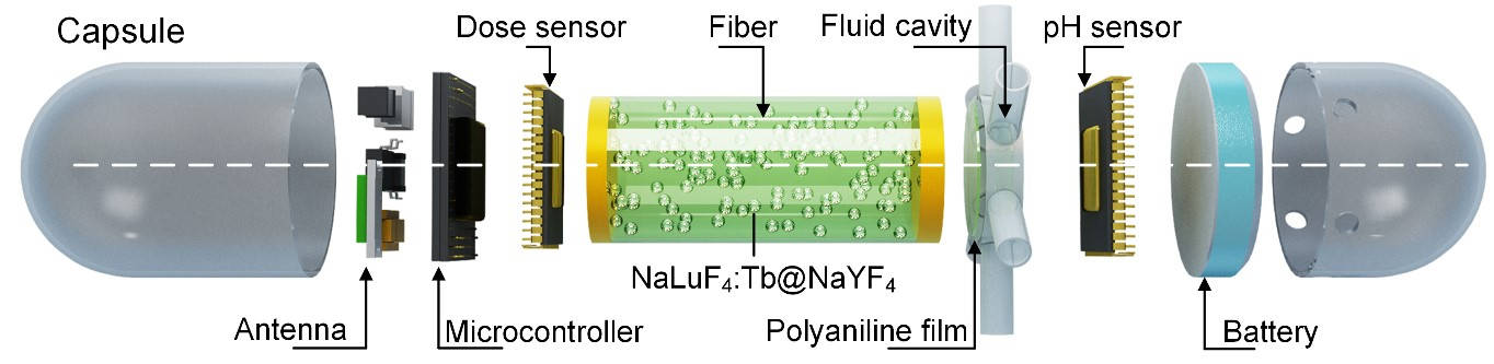 Smart capsule monitors dose for radiotherapy | Electronics Weekly