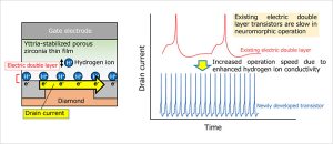 Fast solid-state neuromorphic proton transistor trained to convert ...