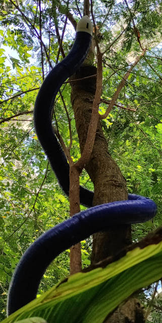 Plant-like autonomous robot responds to light, builds itself a stem ...