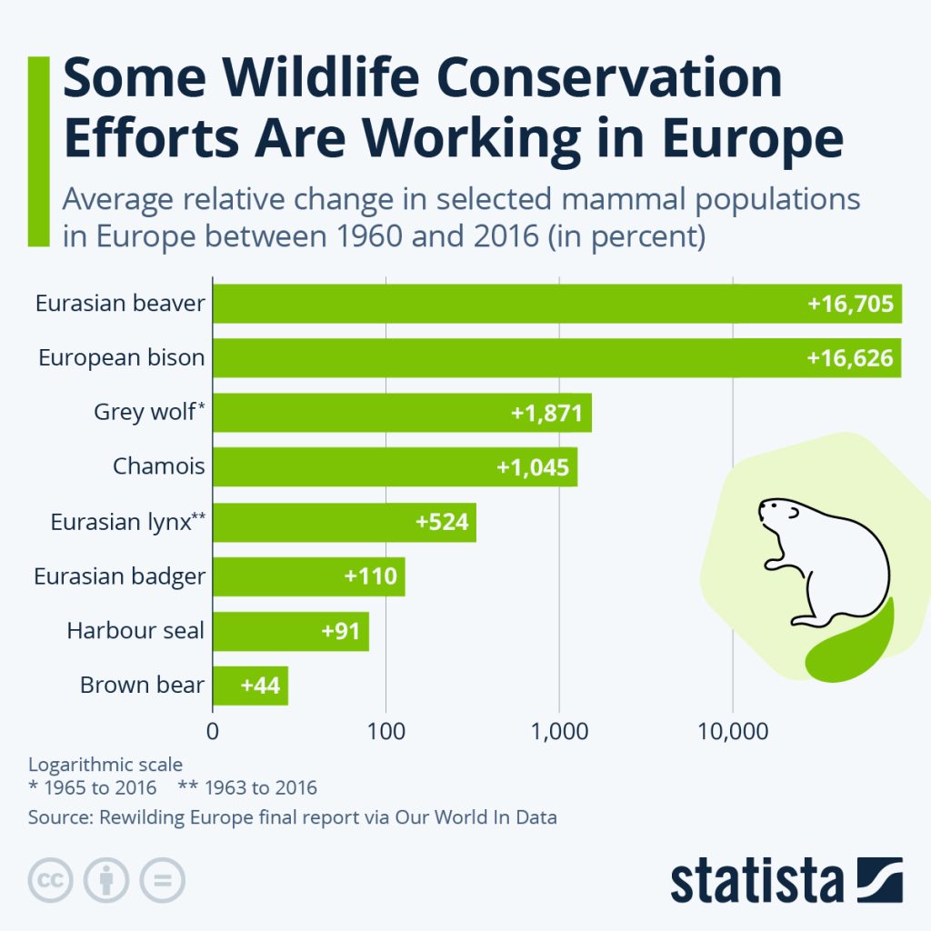 European Success In Boosting Wildlife | Electronics Weekly